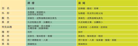檸檬vs萊姆傻傻分不清，自製檸檬冰塊，超簡單！ 大人物 86979