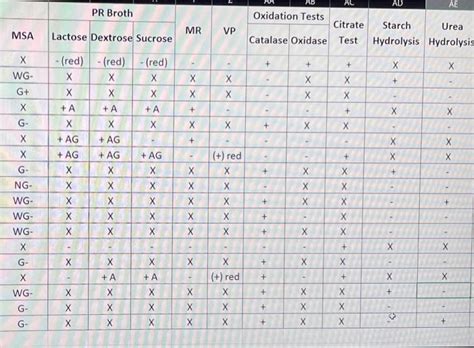 Solved Create A Dichotomous Key Based On These Results