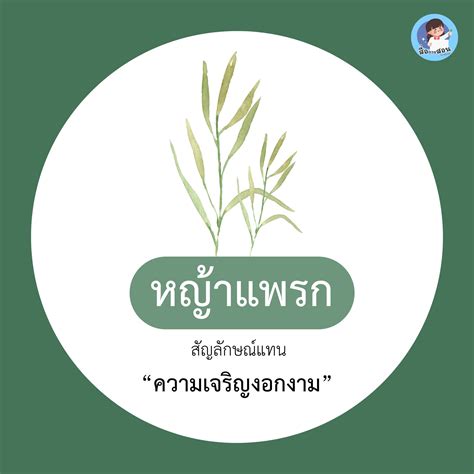 💓 แบ่งปัน ใบงานภาพระบายสี 💓 3 สื่อการสอน By ครูแนน Facebook