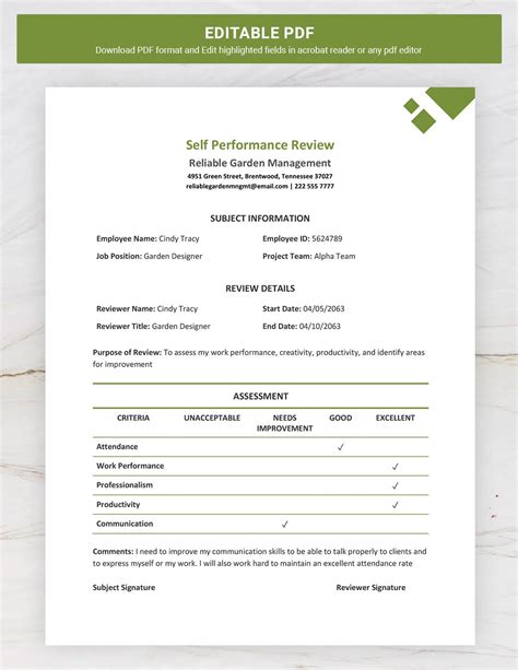 Self Performance Review Template Examples Printable Forms Free Online