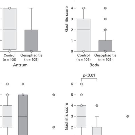 A Gastritis Scores In The Antrum Left And The Body Right Assessed