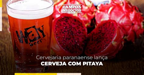 Cervejaria paranaense lança cerveja Pitaya Revista Campo Negócios