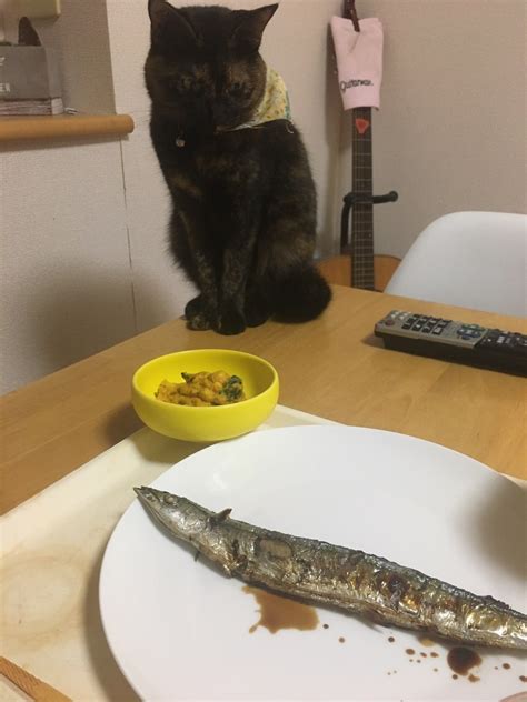 秋の味覚 私、双極性障害なのでキラキラ輝いて生きます！