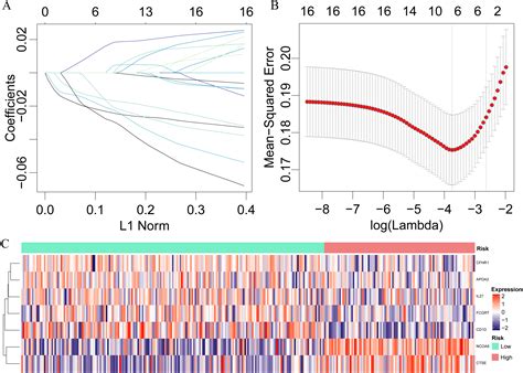 Bioinformatics Profiling Identifies Seven Immune Related Risk