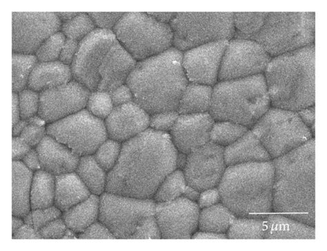 the sem micrographs of the fabricated zn tcp ceramics a zn tcp 0