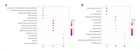 Figure E Functional Characterization Of A Subgroup A Bp Enrichment