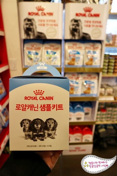 잠실애견용품샵 디자인바이펫 강아지간식 사료 And 강아지옷 네이버 블로그