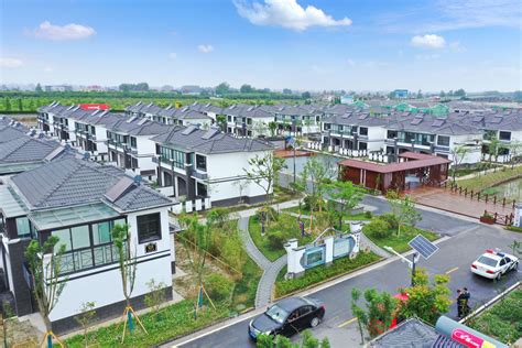 大丰区新丰镇未来规划 大丰区2025规划 第2页 大山谷图库