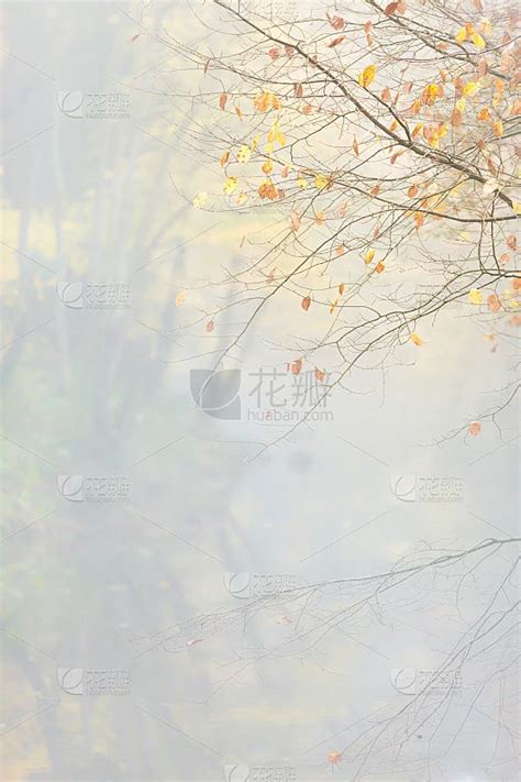 在一个雾蒙蒙的秋天，树上的金色叶子悬在一条河上素材 花瓣网