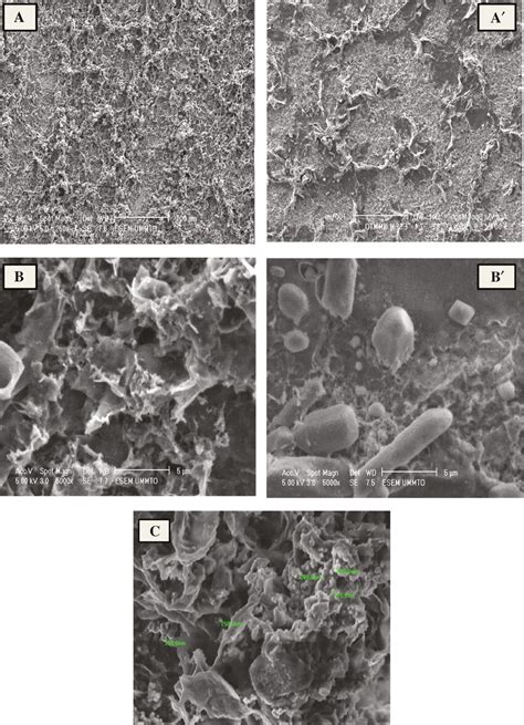 Micrographs Of Unmodified P3t Ito A B And P3t Tio2 Ito Films A