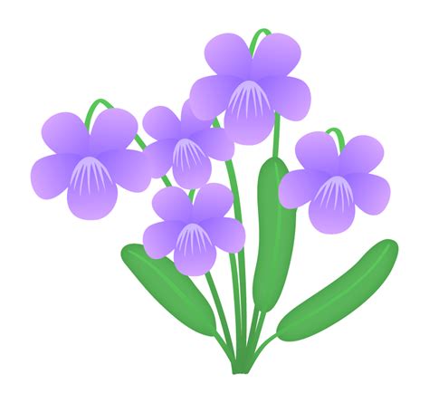 春・すみれの花のイラスト 無料のフリー素材 イラストエイト