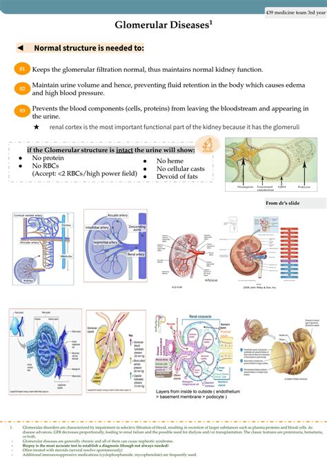 Solution Hematuria Glomerular Disease Tubulo Interstitial Diseases