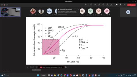 Respiratorio Flashcards Quizlet