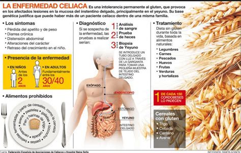 Descubre Si Tienes Intolerancia Al Gluten Señales Y Pruebas