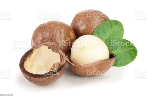 껍질과 Unshelled 마 카 다 미아 너트 나뭇잎에 고립 된 흰색 배경 0명에 대한 스톡 사진 및 기타 이미지 0명
