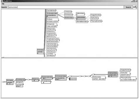 using color to encode corresponding nodes structure comparison mainly
