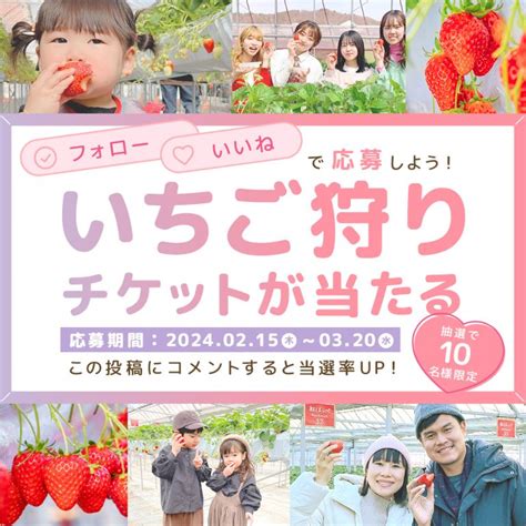 体験農園みとか岐阜山県