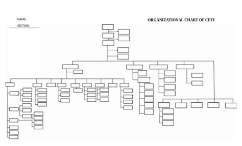 Cefi Organizational Chart Pdf