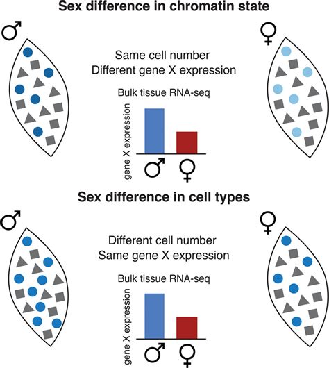 Signatures Of Sex Sex Differences In Gene Expression In The Vertebrate