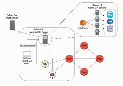 Hyperledger Fabric系统架构 企业级区块链实战教程