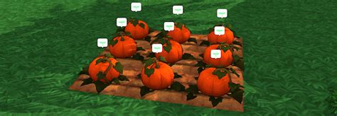 Small Complex By Dontaco