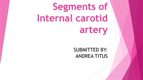 Segments Of Internal Carotid Artery Pptx