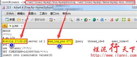通过binlog恢复mysql数据库 程序员大本营