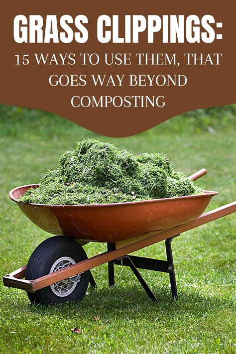Grass Clippings 15 Ways To Use Them That Goes Way Beyond Composting