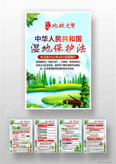 一图读懂湿地保护法亮点内容海报图片下载红动中国