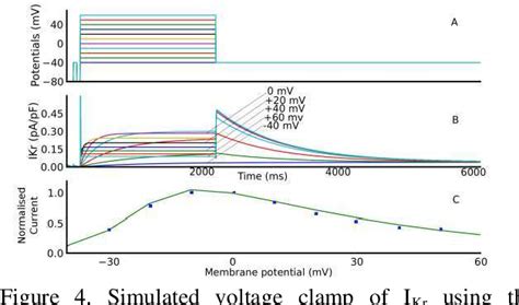 Figure 4 From Development Of A Biophysically Detailed Model Of The Rapid Delayed Rectifier