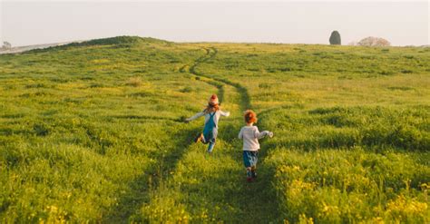 Responsible Investments Report 2021 Nordea Professional Investor