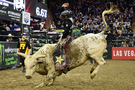 Bullriding Wallpapers 33 Images Wallpapercat Bullriding Wallpapers 33 Images Wallpapercat