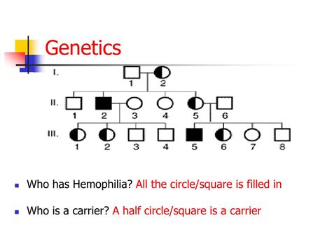 Ppt Hemophilia The Royal Disease Powerpoint Presentation Free Download Id 2759016