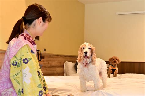 ワンちゃんとお泊まり 【公式】むなかた温泉 御宿はなわらび