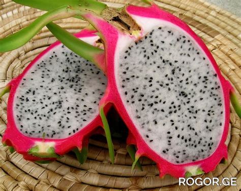 დრაკონის ხილი საახალწლო სუფრაზე როგორ დახვდეთ დრაკონის წელს Rogor Ge