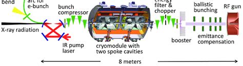 Schematic Of A Thz Fel Complemented With An X Ray Source Download Scientific Diagram