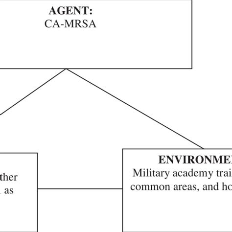 Theoretical Framework Of Ca Mrsa Infection At The Military Academy