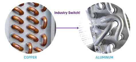 Iflo® Stay Protected Year Round Article