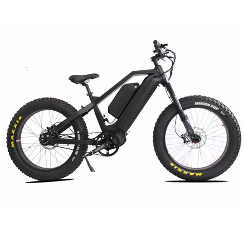 Step Thru E Bike 26′′ Belt Drive Ebike With Rohloff 14 Speeds Hub Electric Bicycle And 1000w Ebike