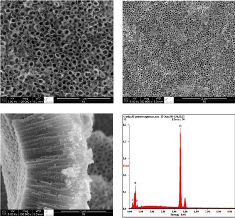 Figure 3 From The Electrochemical Behavior Of Titanium Improved By Nanotubular Oxide Formed By
