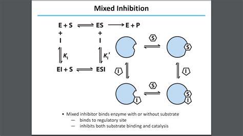 Solved Mixed Inhibitionmixed Inhibitor Binds Enzyme With Or