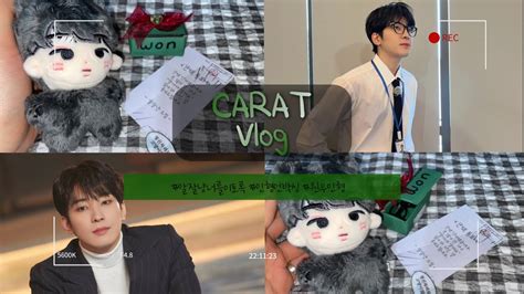 캐럿 브이로그 애옭이들과 새로운 가족 맞이하기 세븐틴 원우 10cm 인형 알잘냥 간택 애옭 Youtube