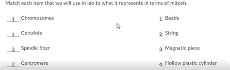 Solved Match Each Item That We Will Use In Lab To What It Chegg Com