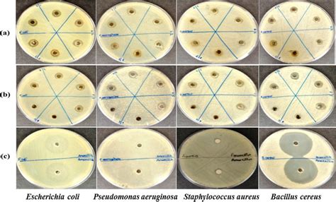 Antimicrobial Activities Of A Gtl Synthesized Agnps B Ol