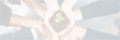 Erfahren Sie alles über die Marke Tefal