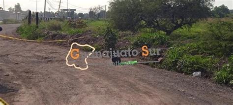 DEJAN HIELERA CON RESTOS HUMANOS EN LA LABOR Guanajuato Sur Noticias