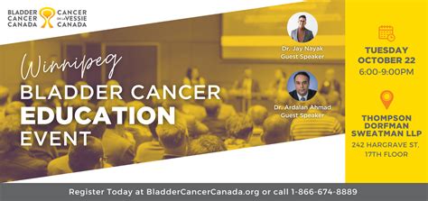 Non Muscle Invasive Bladder Cancer Overview Of Treatment Options