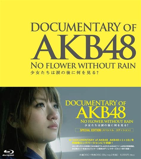 Iso Blu Ray Box Akb48 Documentary Of Akb48 No Flower Without Rain