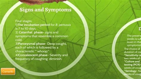 Bordetella Pertussis Youtube