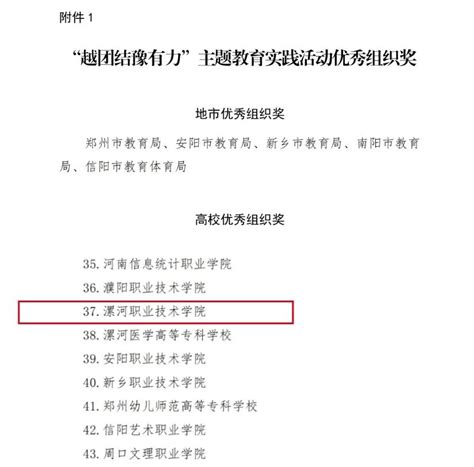 喜报！漯河职院荣获“越团结豫有力”主题教育实践活动多项荣誉 共青团漯河职业技术学院委员会